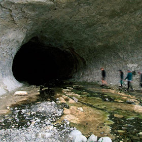 Cave Stream Scenic Reserve tracks & cave walk Short walk