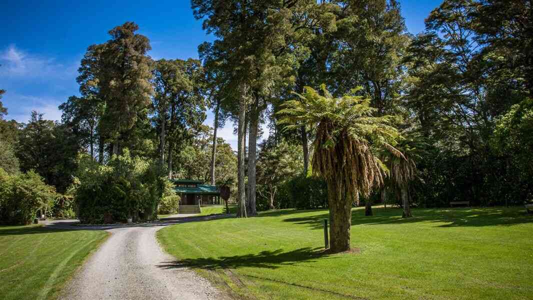 Pelorus Bridge Campground - Pelorus Bridge Scenic Reserve, Marlborough ...