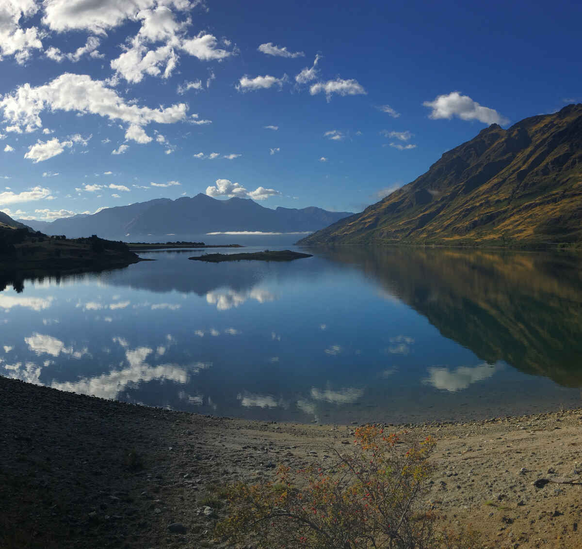Kidds Bush Reserve Campsite - Lake Hawea, Wanaka Region, NZ - 104 ...