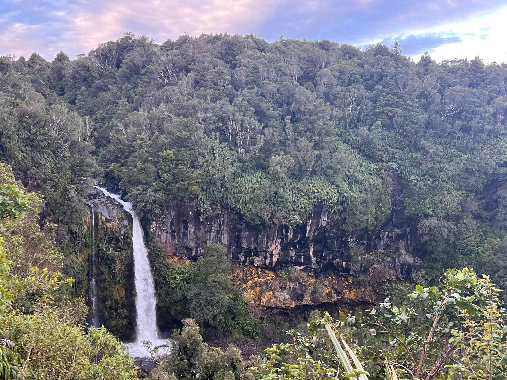 Kapuni Loop Track to Dawson Falls - Kaponga, Te Papa-Kura-o-Taranaki ...