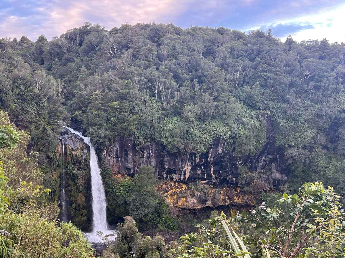 Kapuni Loop Track to Dawson Falls - Kaponga, Te Papa-Kura-o-Taranaki ...