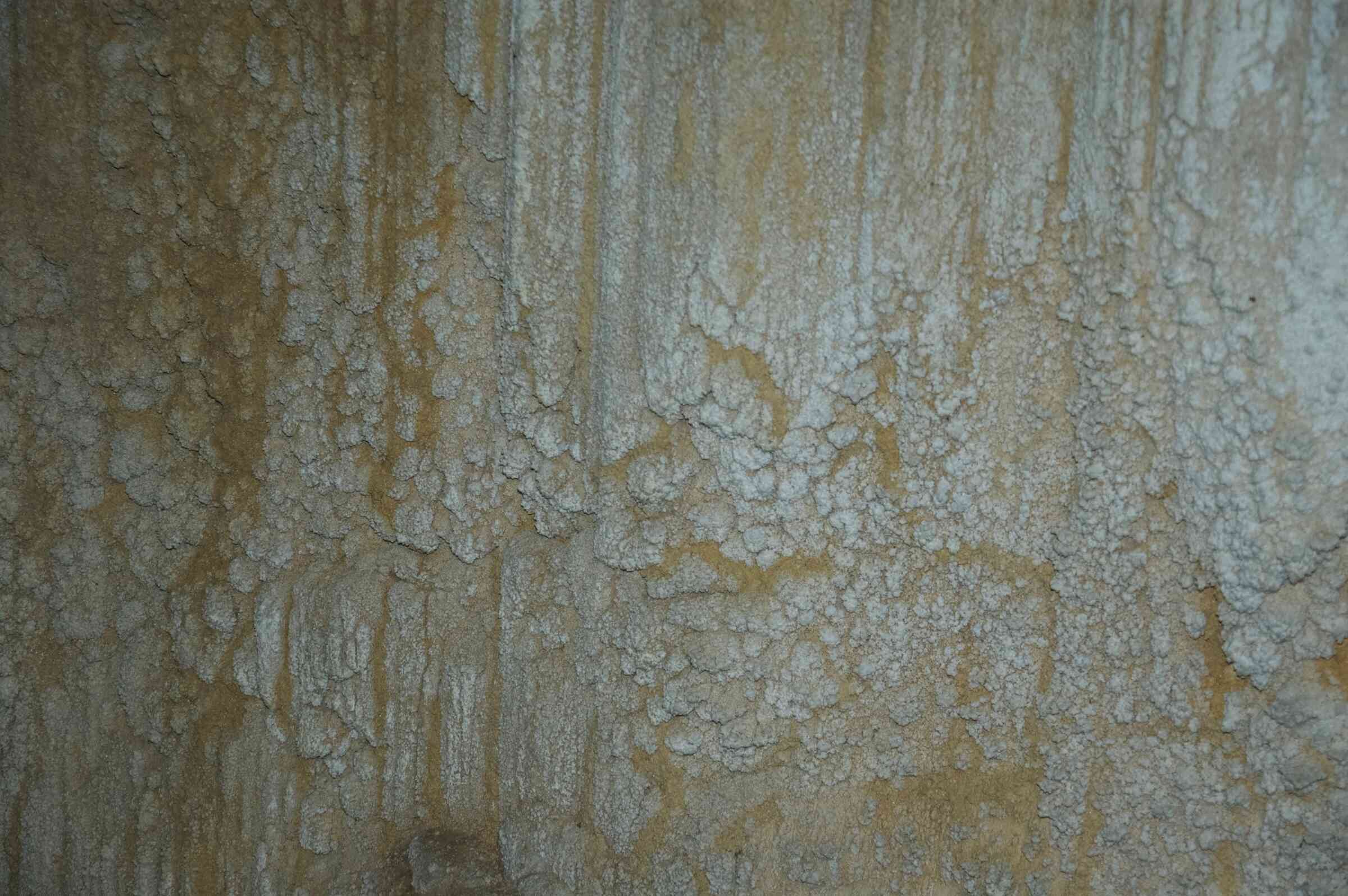 Piripiri Cave Walk - Waitomo , Waikato, NZ - 5 travel reviews for ...