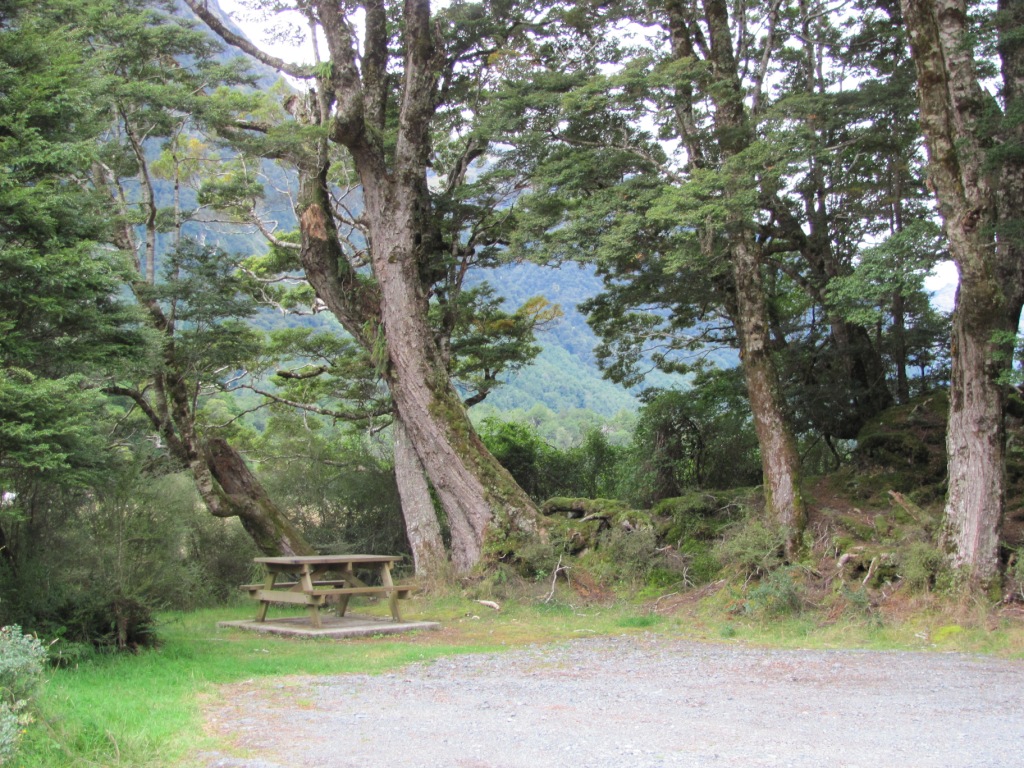 Deer Flat Campsite - Milford Rd - Fiordland National Park, Fiordland ...