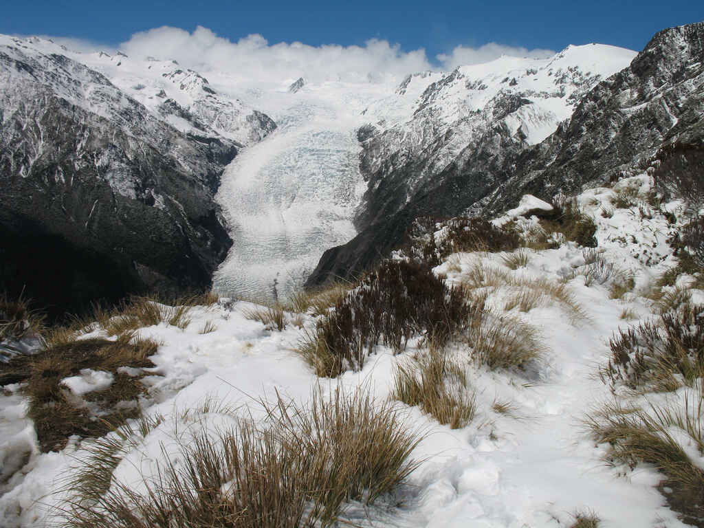 Alex Knob Track - Franz Josef Glacier Area, West Coast, NZ - 22 travel ...