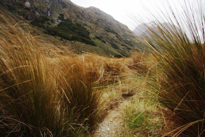 Lake Sylvan Track, Queenstown Region, NZ - 12 travel reviews for Lake ...