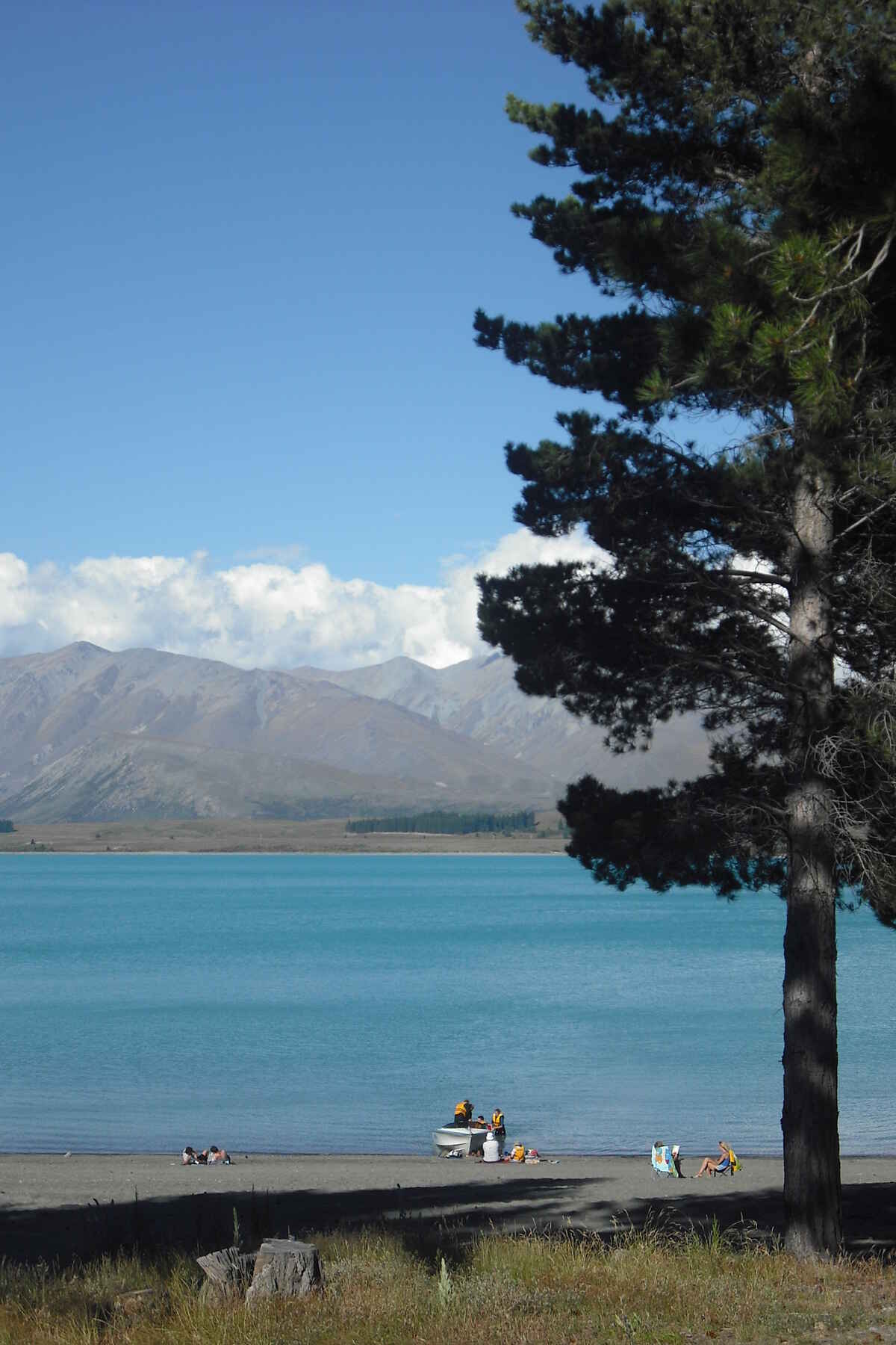 Lake Tekapo Walkway - Pines Beach Walk