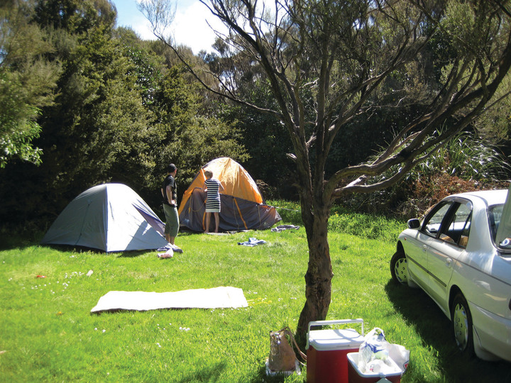 Castlepoint Carpark - Castlepoint Scenic Reserve - Overnight Campervan ...