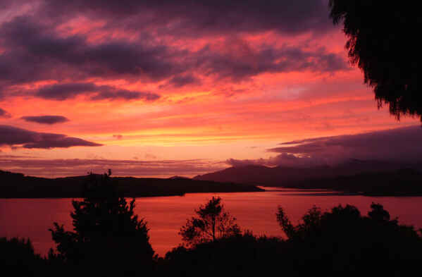 Rawene Holiday Park, Northland, NZ - 21 travel reviews for Rawene ...