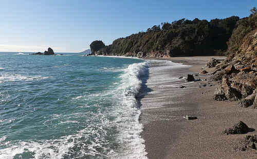 Monro Beach Walk, West Coast, NZ - 20 travel reviews for Monro Beach Walk
