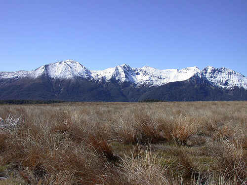Mount / Mt Arthur Tableland Circuit - Kahurangi National Park, Nelson ...
