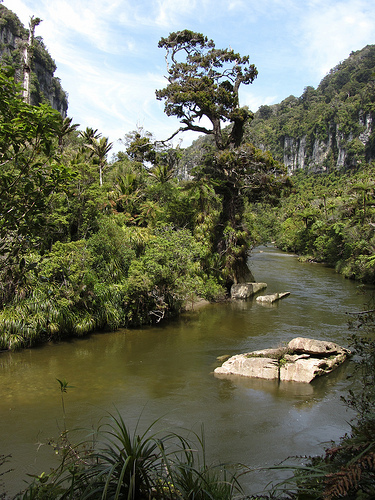 Fox River Caves and Ballroom Overhang walk - Punakaiki, West Coast, NZ ...