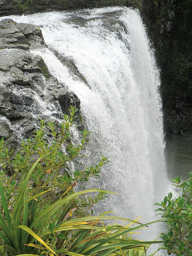 Abbey Caves, Northland, NZ - 38 travel reviews for Abbey Caves
