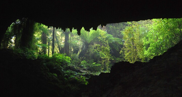 Oparara Arch Walk - Oparara Basin, West Coast, NZ - 32 travel reviews ...