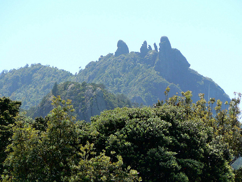Abbey Caves, Northland, NZ - 38 travel reviews for Abbey Caves