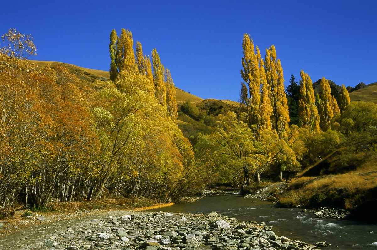 Macetown 4WD Road track - Arrowtown, Queenstown Region, NZ - 1 travel ...