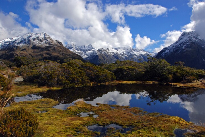 Kepler Track - Fiordland National Park, Fiordland, NZ - 202 travel ...