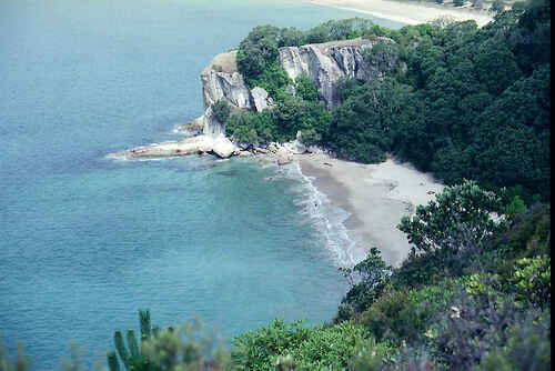 Lonely Bay Walk, Coromandel, NZ - 0 travel reviews for Lonely Bay Walk