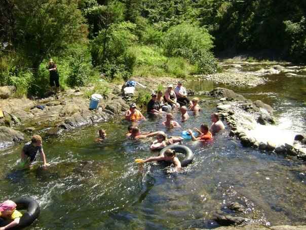 Tapu Creek Campervan Park - Tapu, Coromandel, NZ - 38 travel reviews ...