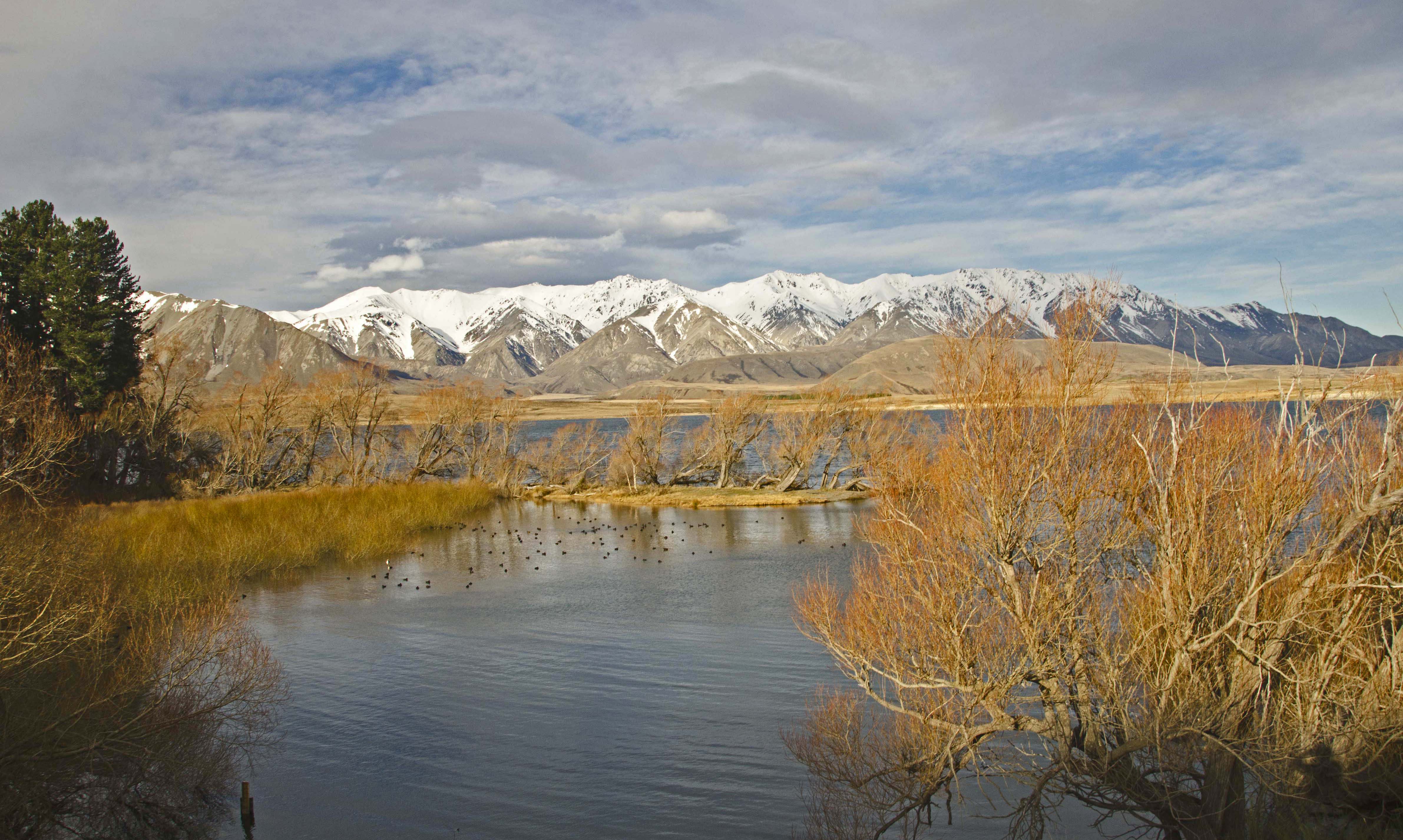 Lake Heron Camping Ground, Canterbury, NZ - 3 travel reviews for Lake ...