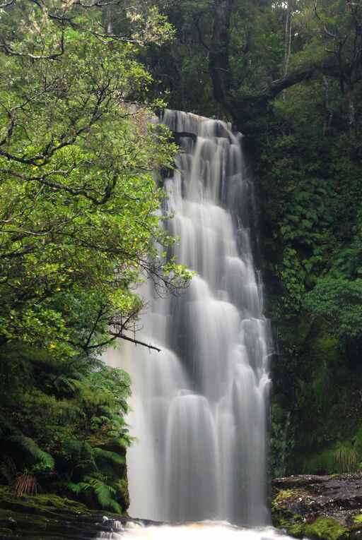 Purakaunui Falls walk - Catlins, Southland, NZ - 31 travel reviews for ...