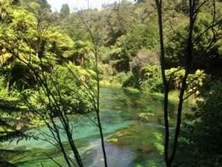 Te Waihou Walkway, Waikato, NZ - 14 travel reviews for Te Waihou Walkway