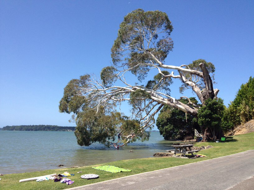 Waitui Reserve - Overnight Campervan Parking, Bay of Plenty, NZ - 3 ...
