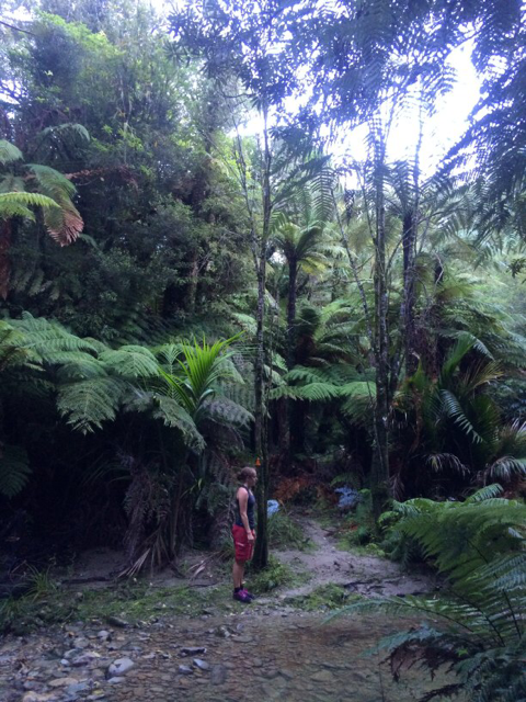 Rere Rock Slide, Out East, NZ - 16 travel reviews for Rere Rock Slide