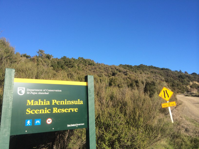 Mahia Peninsula Scenic Reserve track, Out East, NZ - 5 travel reviews ...