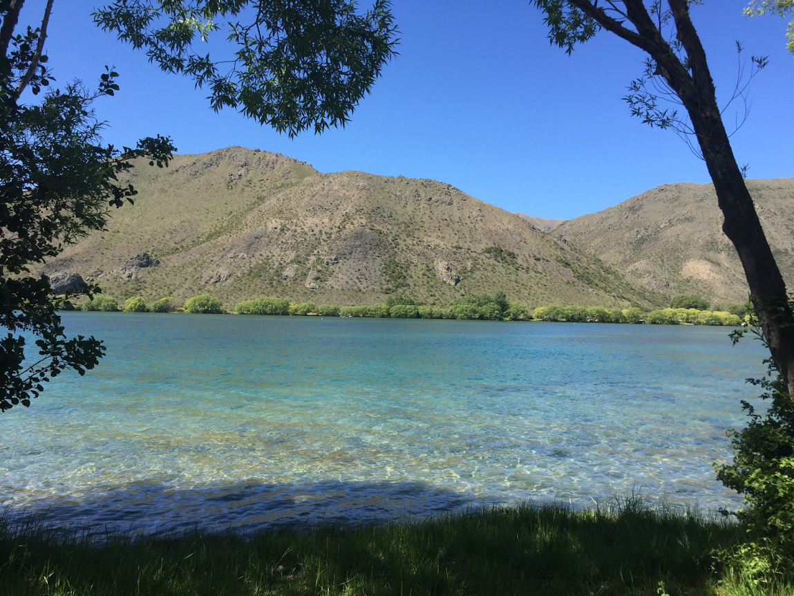 Wildlife Camping Ground - Lake Benmore - Waitaki Valley, Mount Cook ...