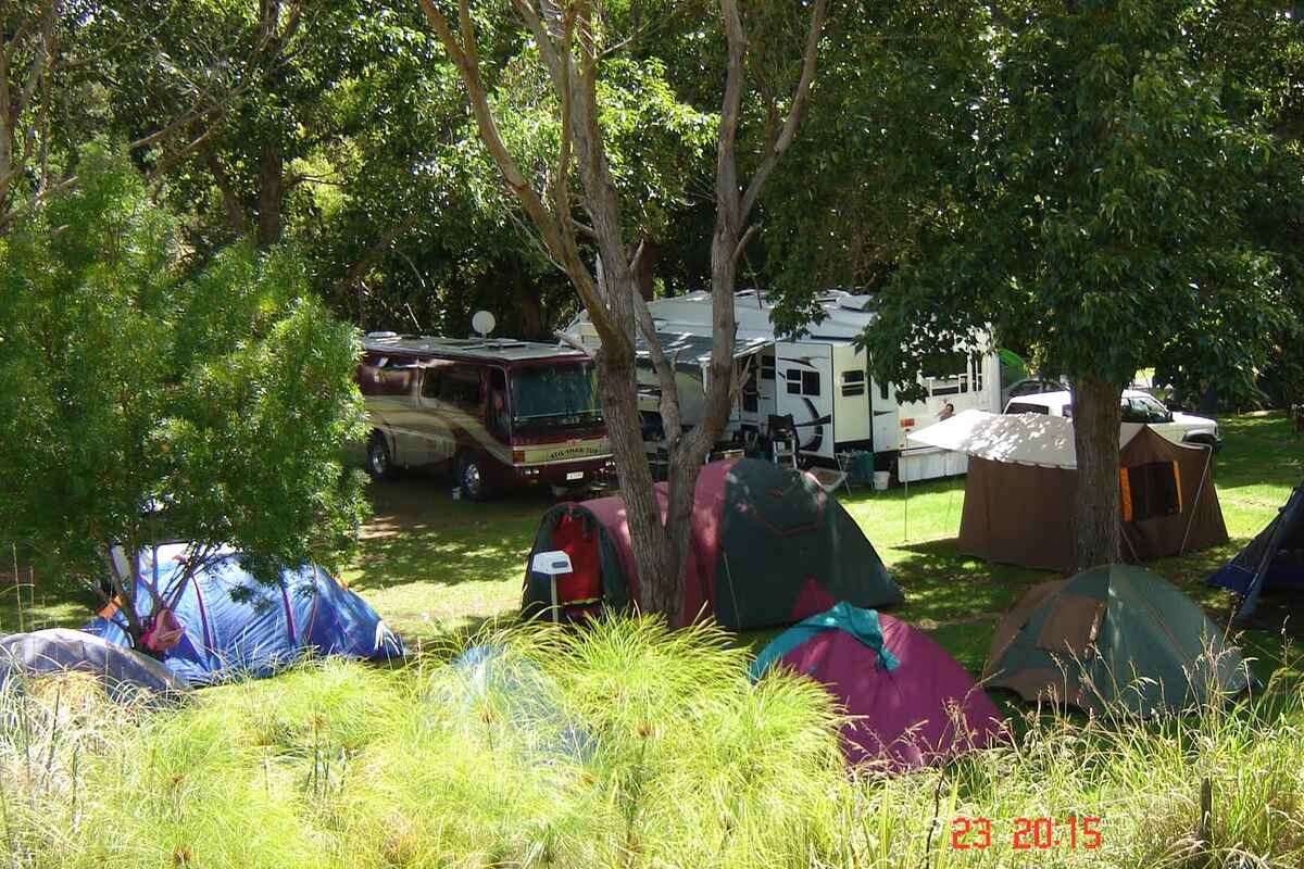 Hihi Beach Holiday Park, Northland, NZ - 15 travel reviews for Hihi ...