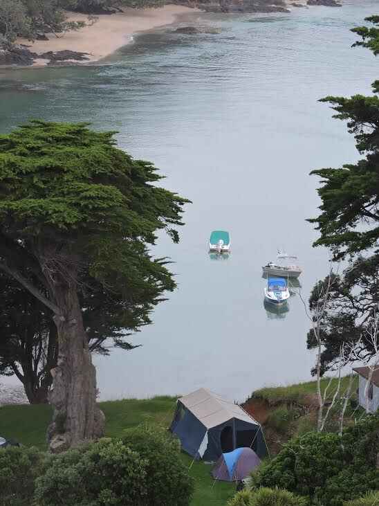 Motutara Farm Camp - Whananaki , Northland, NZ - 6 travel reviews for ...