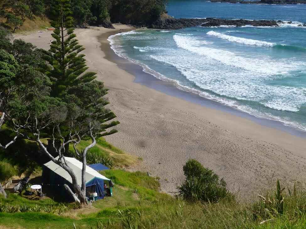 Motutara Farm Camp - Whananaki , Northland, NZ - 6 travel reviews for ...