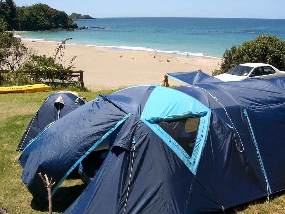 Motutara Farm Camp - Whananaki , Northland, NZ - 6 travel reviews for ...