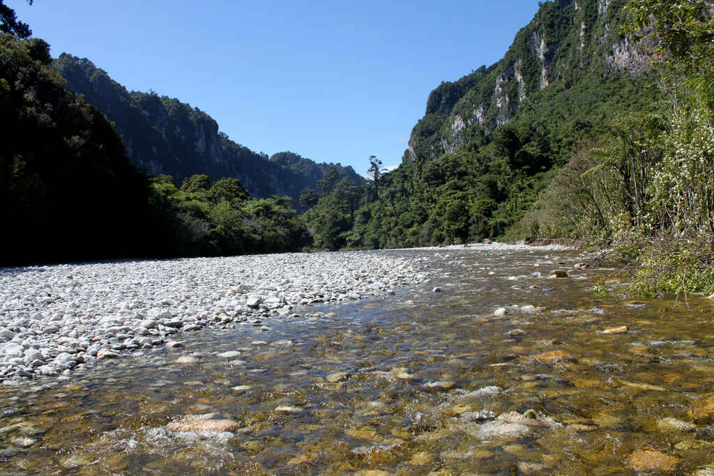 Fox River Caves and Ballroom Overhang walk - Punakaiki, West Coast, NZ ...