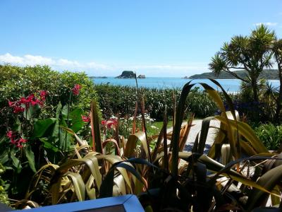 Carters Beach TOP 10 Holiday Park, West Coast, NZ - 98 travel reviews ...