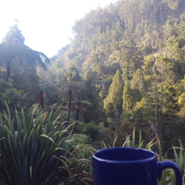 Rays Rest Camping Reserve - Kaiaua, Auckland Region, NZ - 30 travel ...