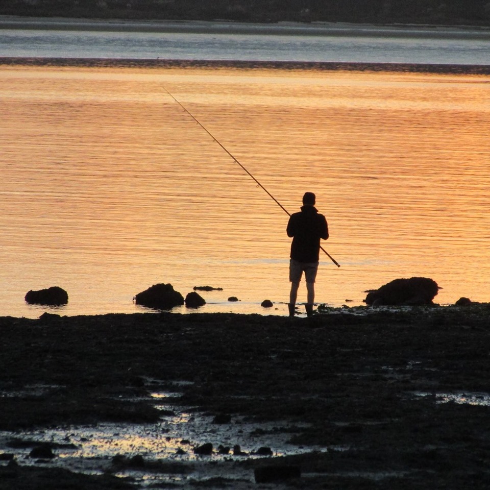 Clarks Beach Holiday Park, Auckland Region, NZ - 32 travel reviews for ...