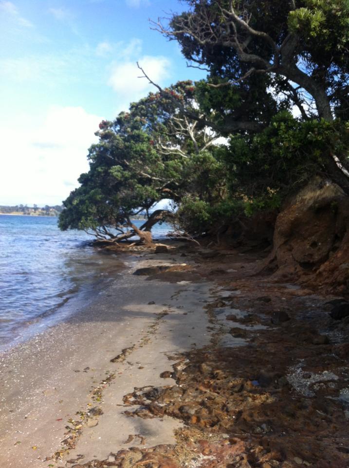 Clarks Beach Holiday Park, Auckland Region, NZ - 32 travel reviews for ...