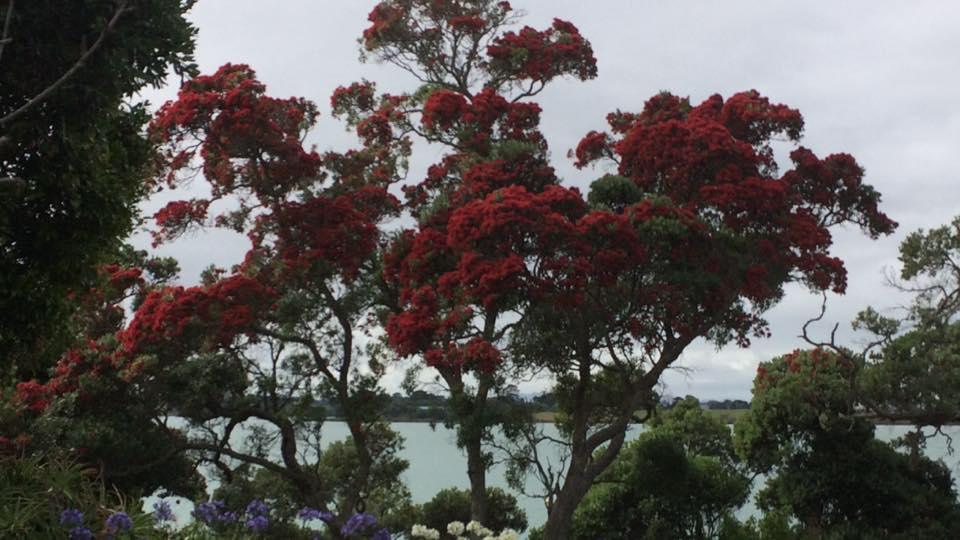 Clarks Beach Holiday Park, Auckland Region, NZ - 32 travel reviews for ...