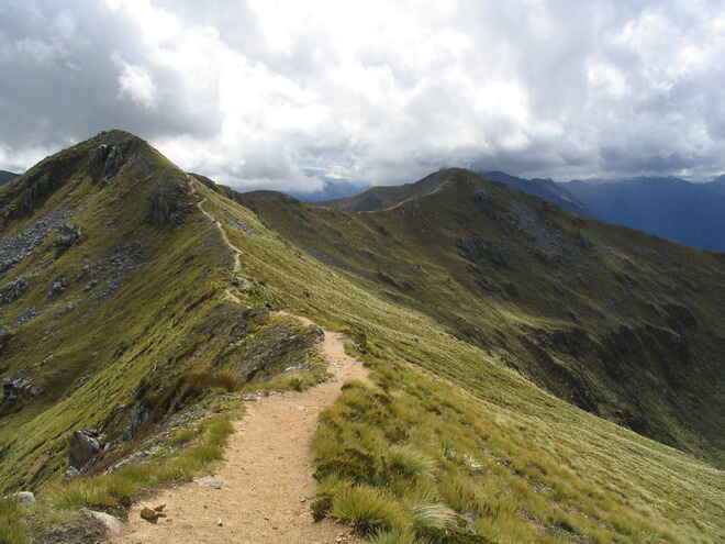 Kepler Track - Fiordland National Park, Fiordland, NZ - 202 travel ...