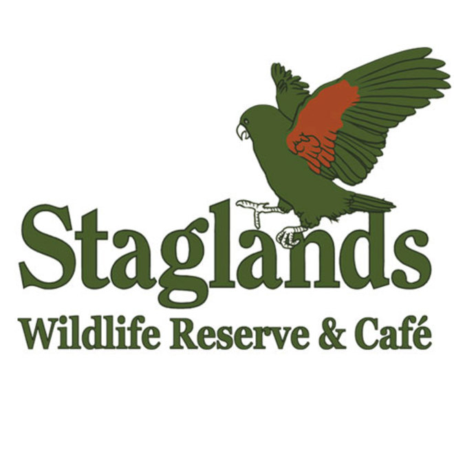 Staglands Wildlife Reserve, Wellington Region, NZ - 5 travel reviews ...