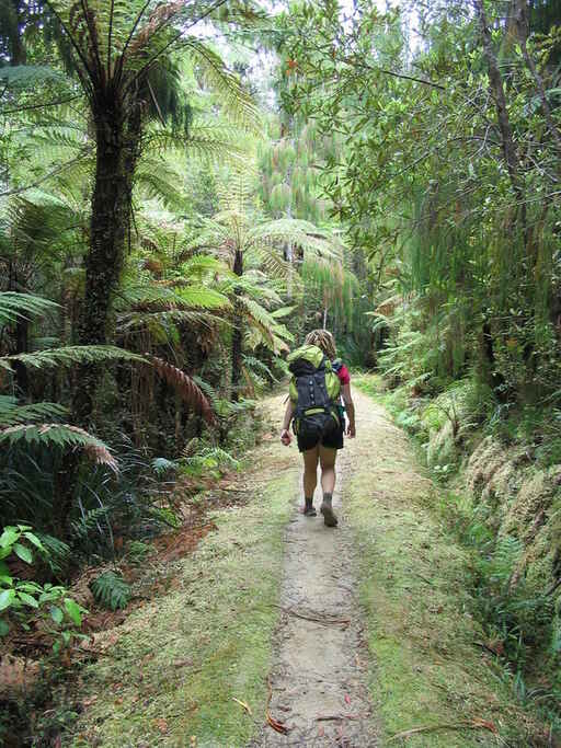 Mount / Mt Arthur Tableland Circuit - Kahurangi National Park, Nelson ...